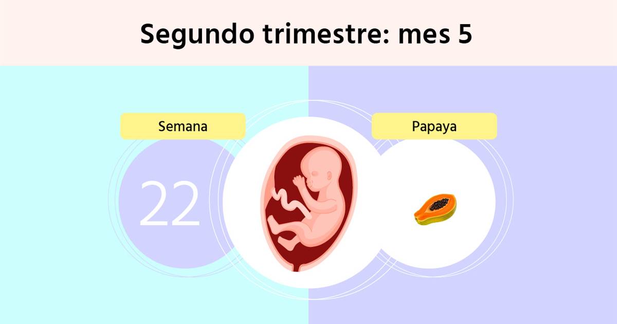 Semana 22 de embarazo: ¿cuál es la posición del bebé y cómo se mueve?
