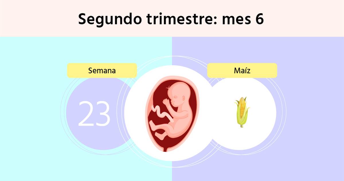 Semana 23 de embarazo: puedes notar las primeras contracciones (Braxton ...