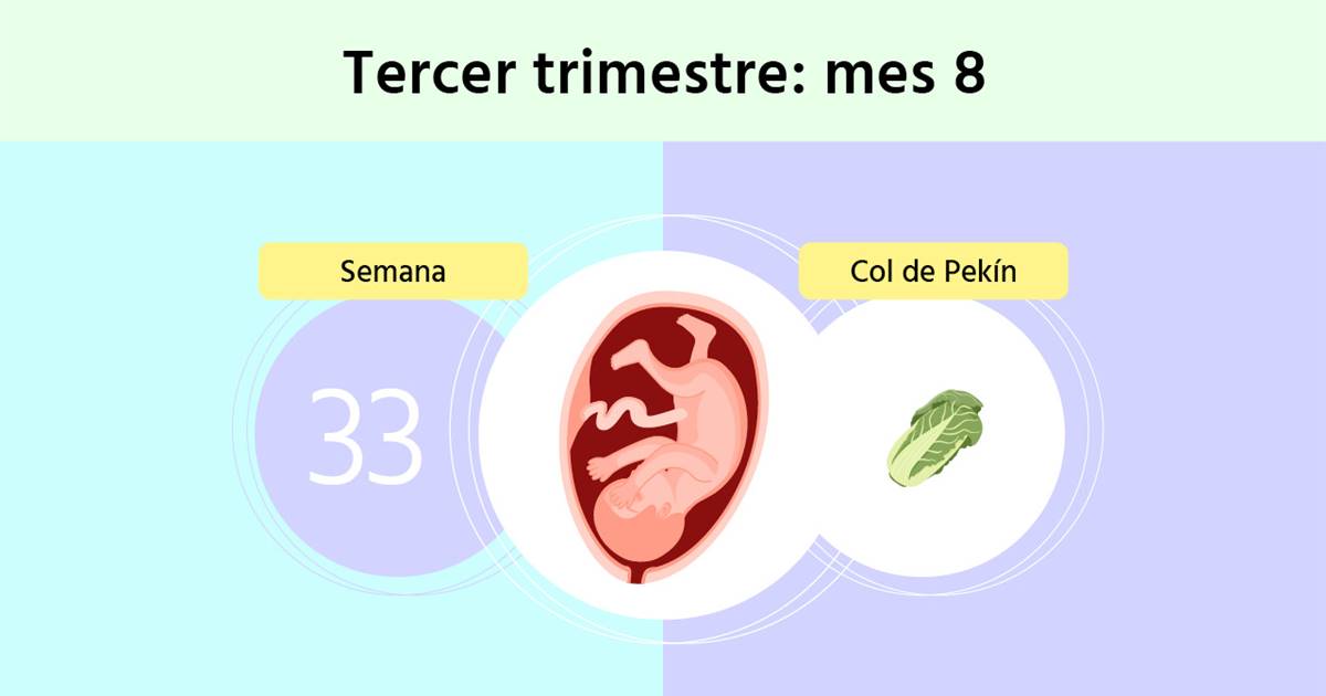 Semana 33 de embarazo: mucho cansancio y otros síntomas