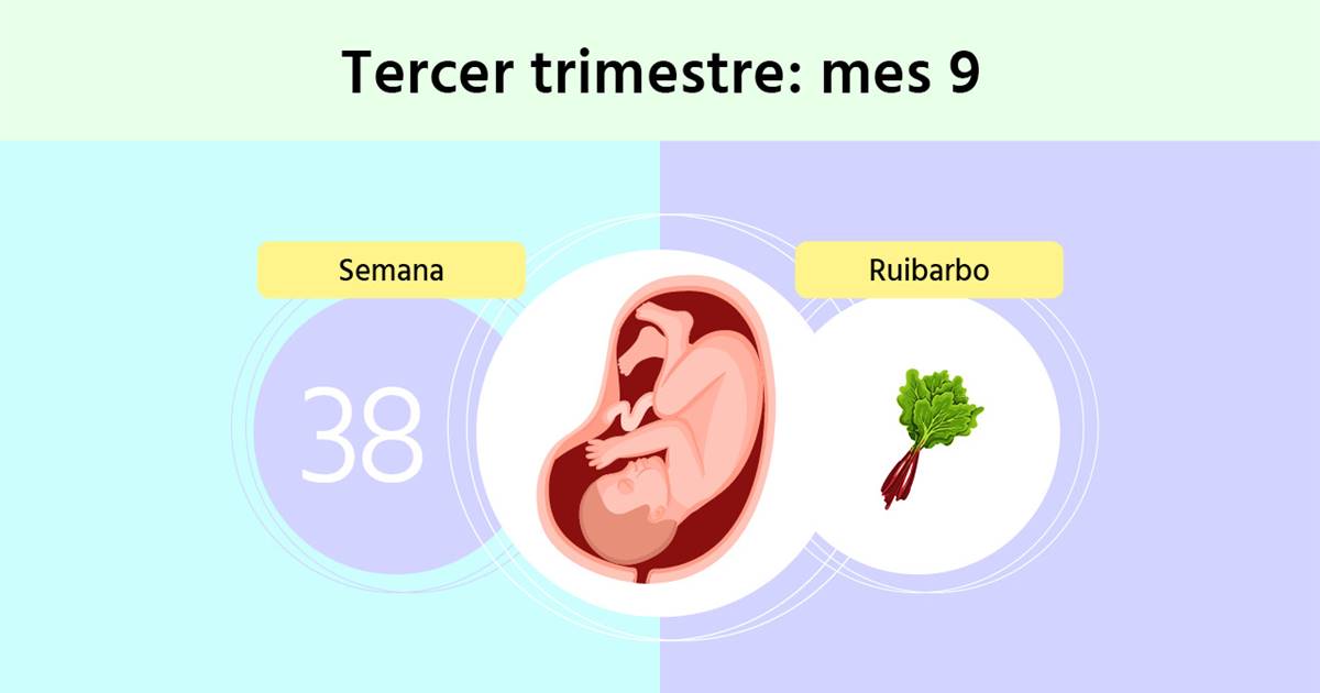Semana 38 de embarazo: las probabilidades de que se produzca el parto ...