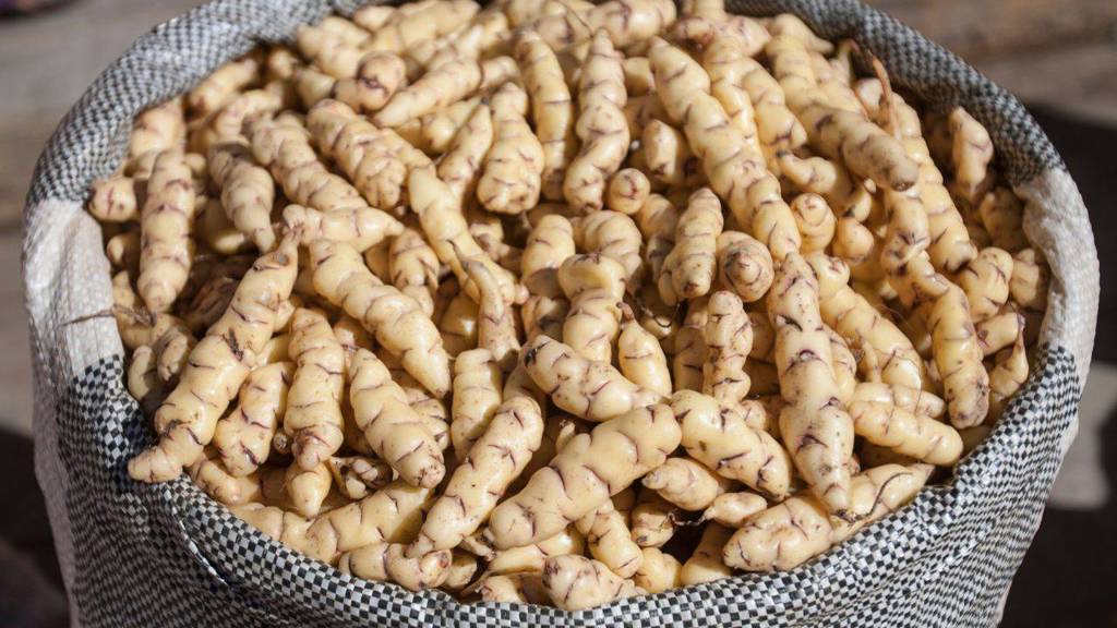 Oro negro: el fruto superantioxidante que multiplica el colágeno en el ...